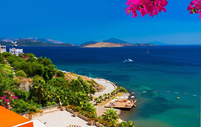 Hotel Tunisie & Voyage Organisé à Prix Exclusif | sitepbooking.com